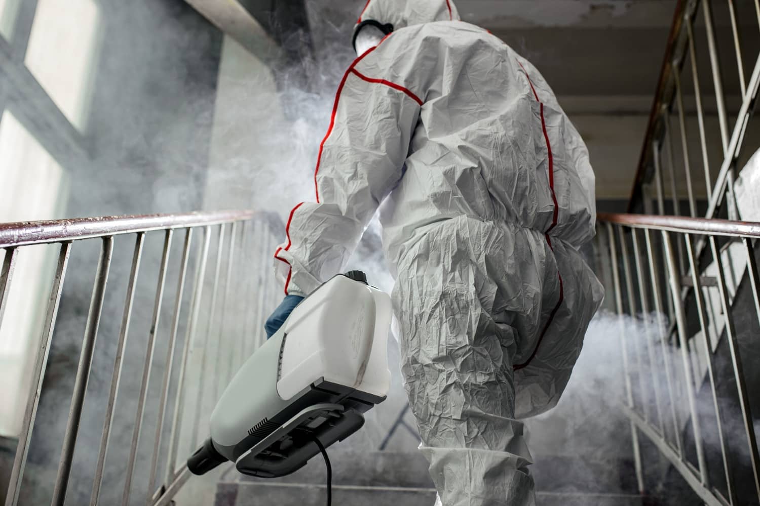 Everything You Need to Know About the Mold Remediation Process