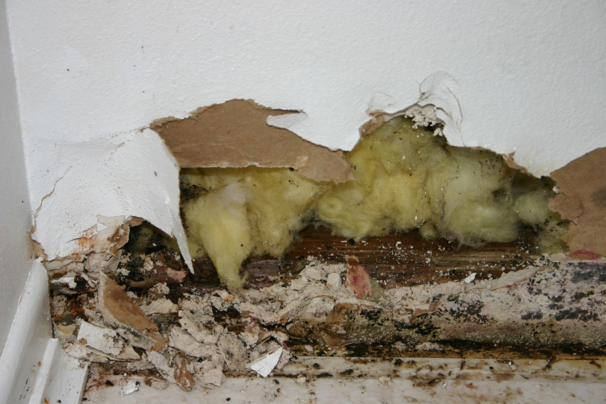 Excel Restorers Shares Tips on How To Tell if Drywall Is Water Damaged ...